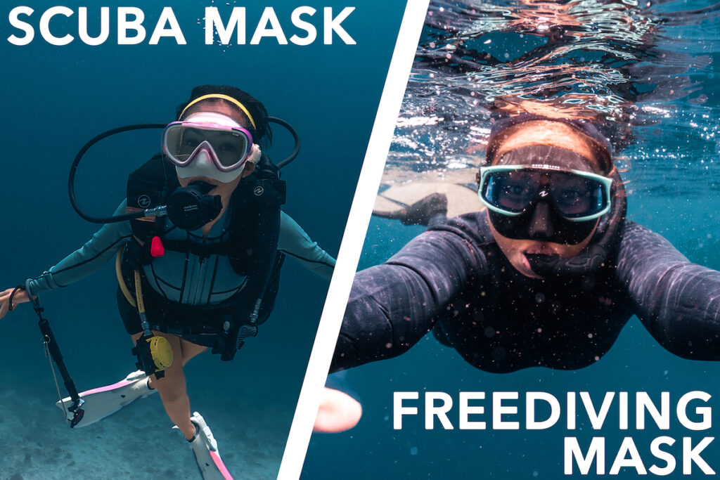 ความแตกต่างระหว่างหน้ากาก Scuba และหน้ากาก Freedive | DIVESHOP.IN.TH