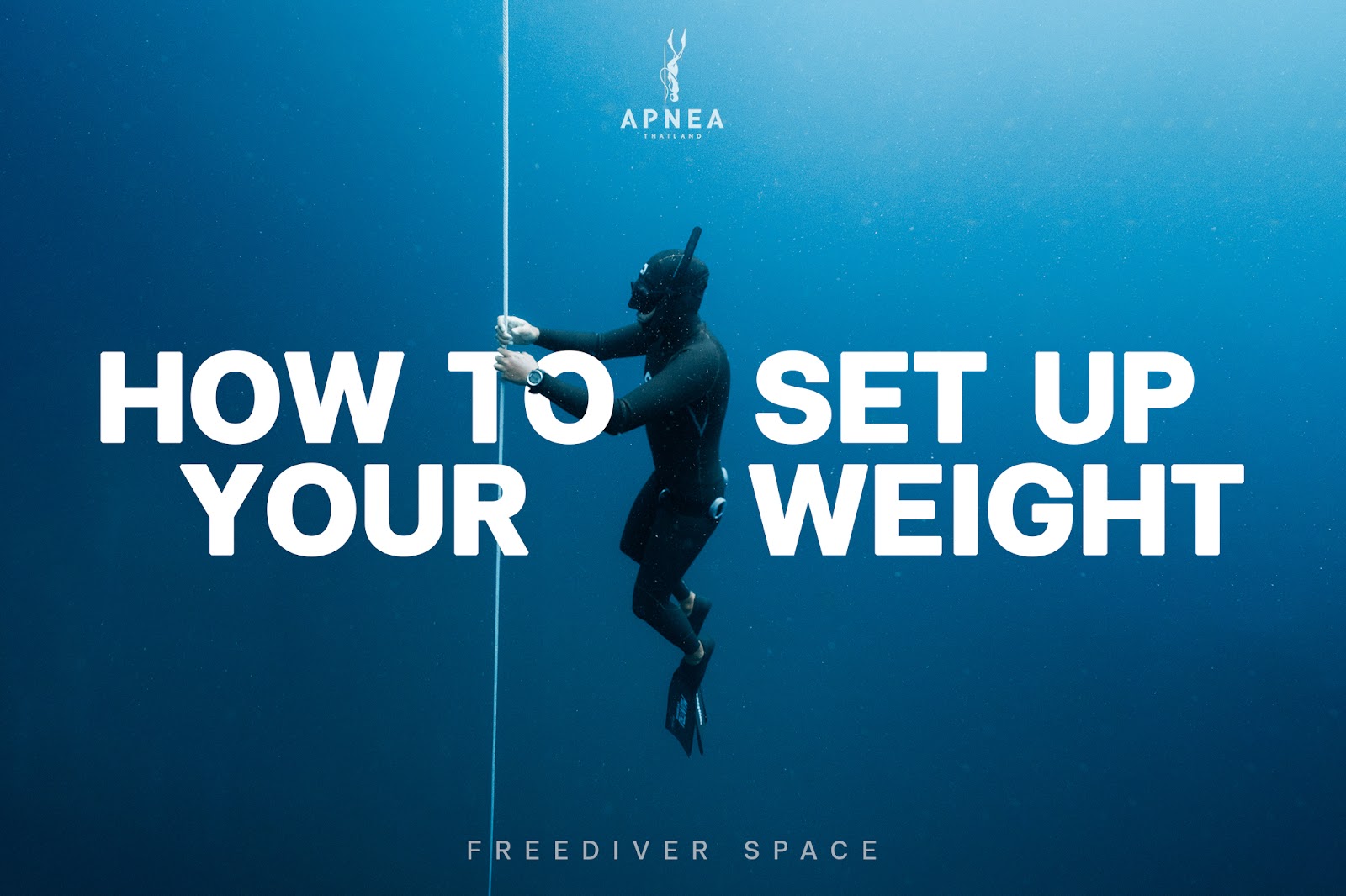 ระบบน้ำหนักเพื่อการดำฟรีไดฟ์ (Weight System for Freediving) | DIVESHOP ...