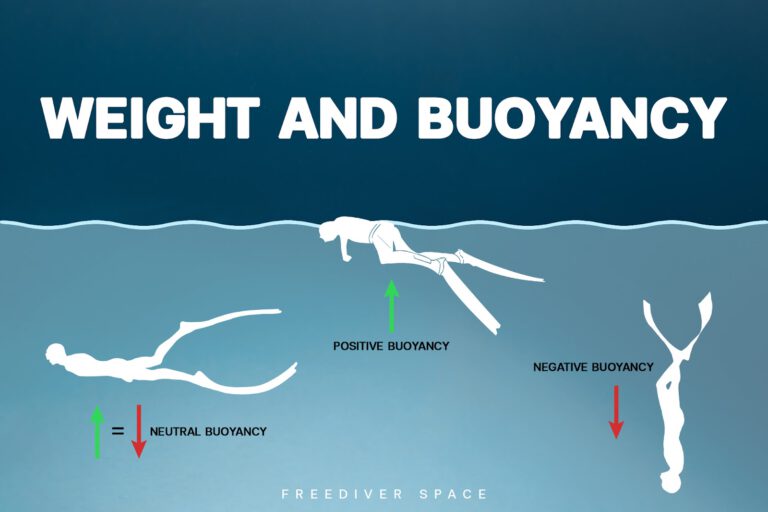 ระบบน้ำหนักเพื่อการดำฟรีไดฟ์ (Weight System for Freediving) | DIVESHOP ...