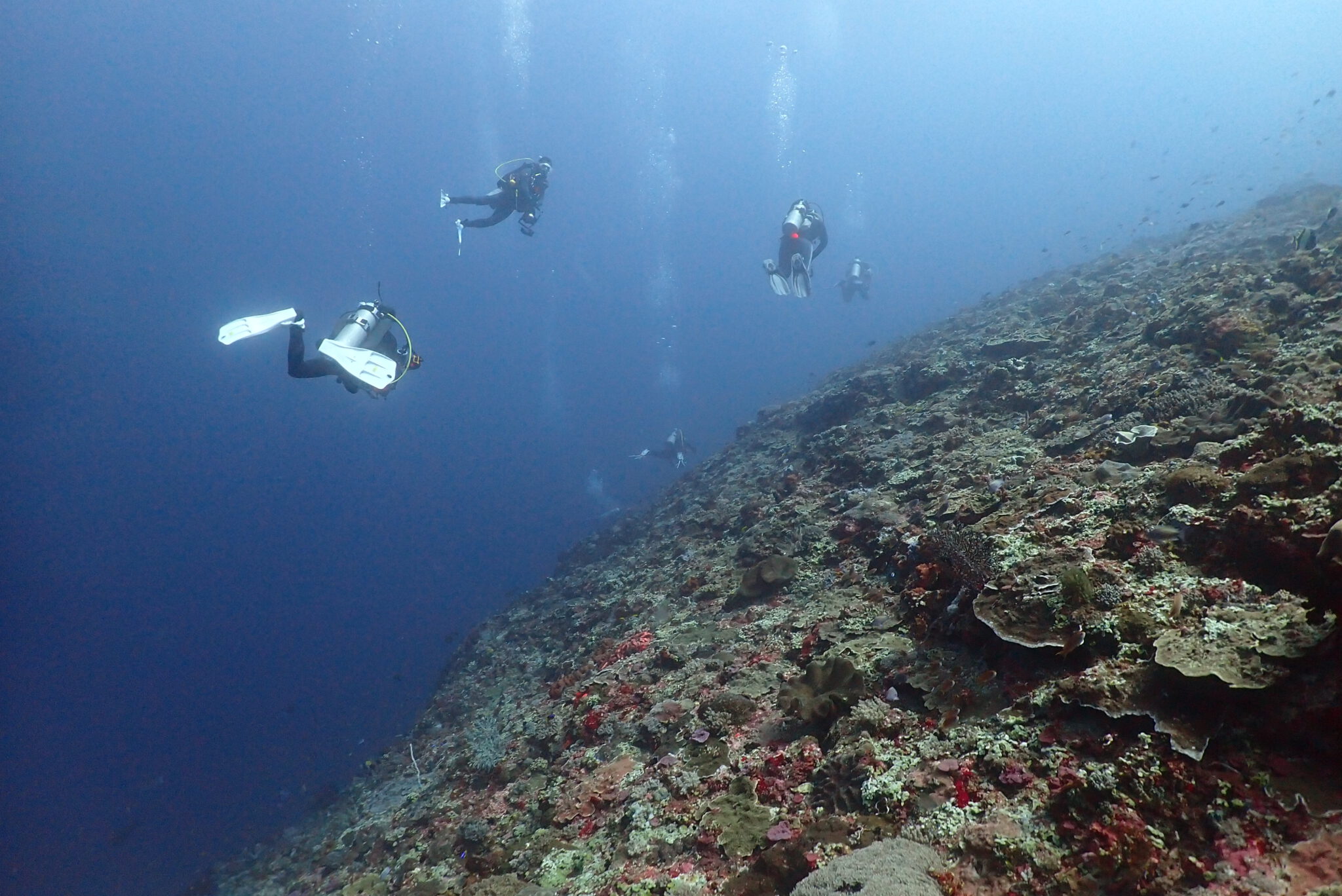 ดำน้ำในกระแสน้ำแรงทำอย่างไร | DIVESHOP.IN.TH