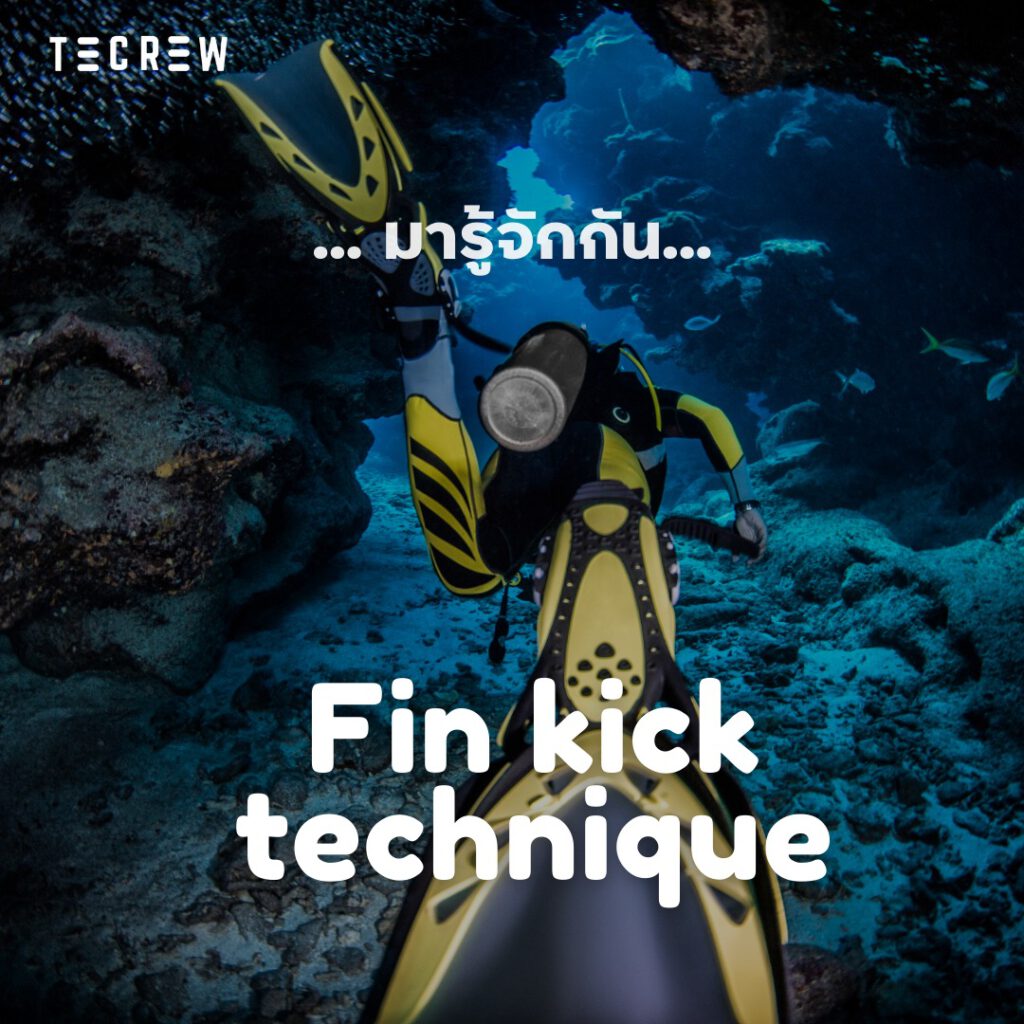 Fin kick technique | DIVESHOP.IN.TH